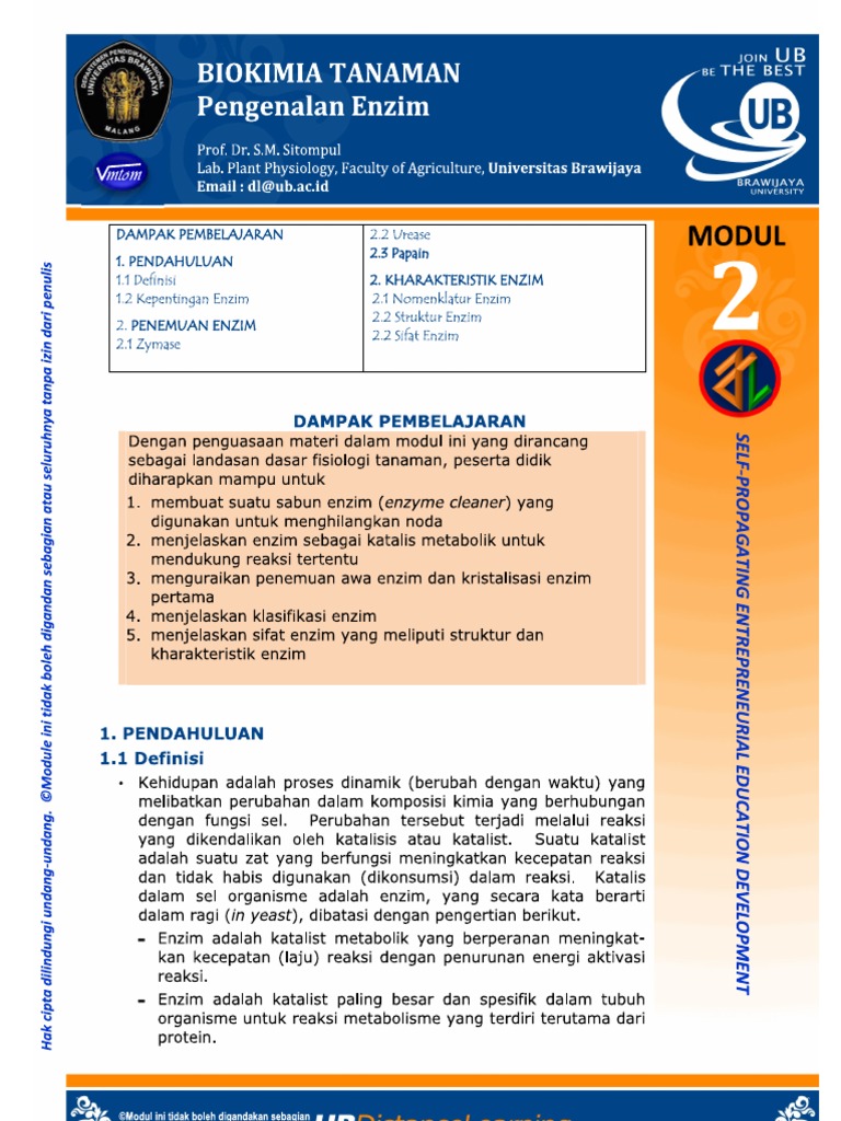 Biokimia - Enzim | PDF