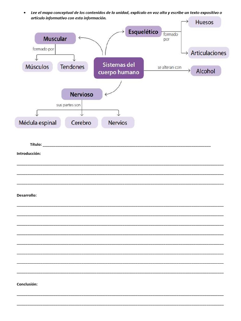 Guía CIENCIAS NATURALES 4° Sistemas Del Cuerpo Humano 1 | PDF