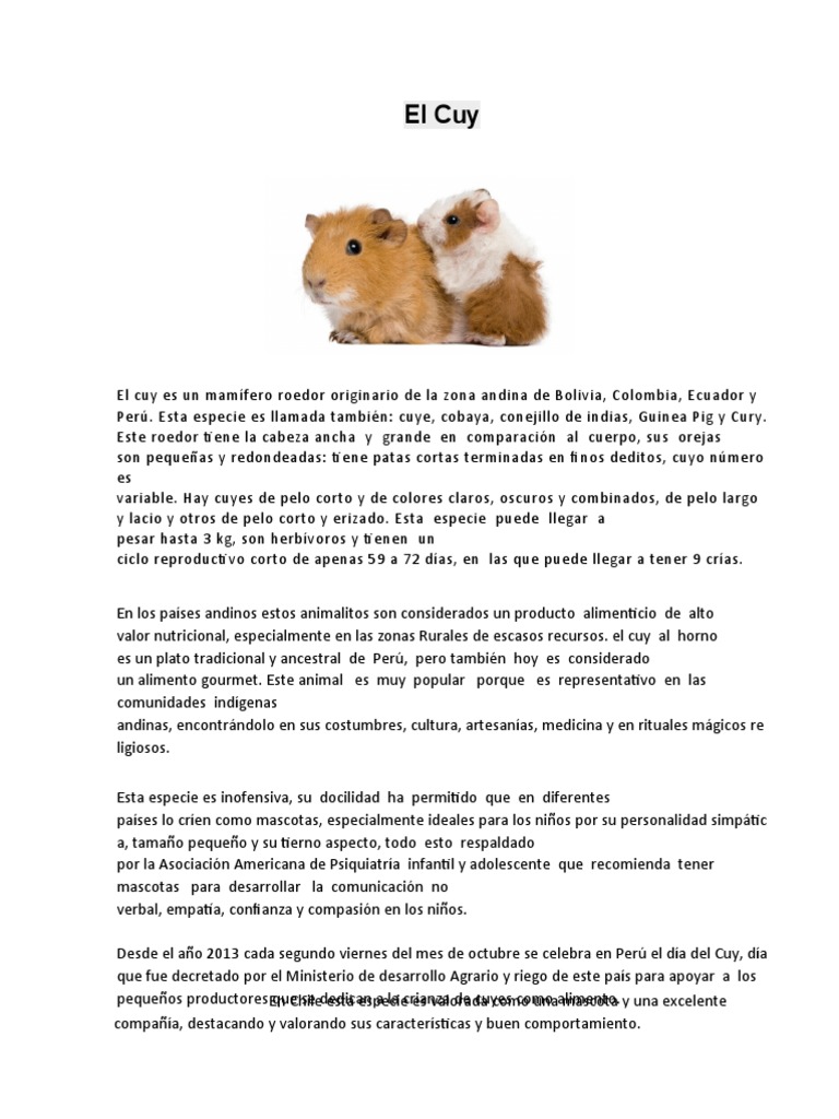 El Cuy | PDF