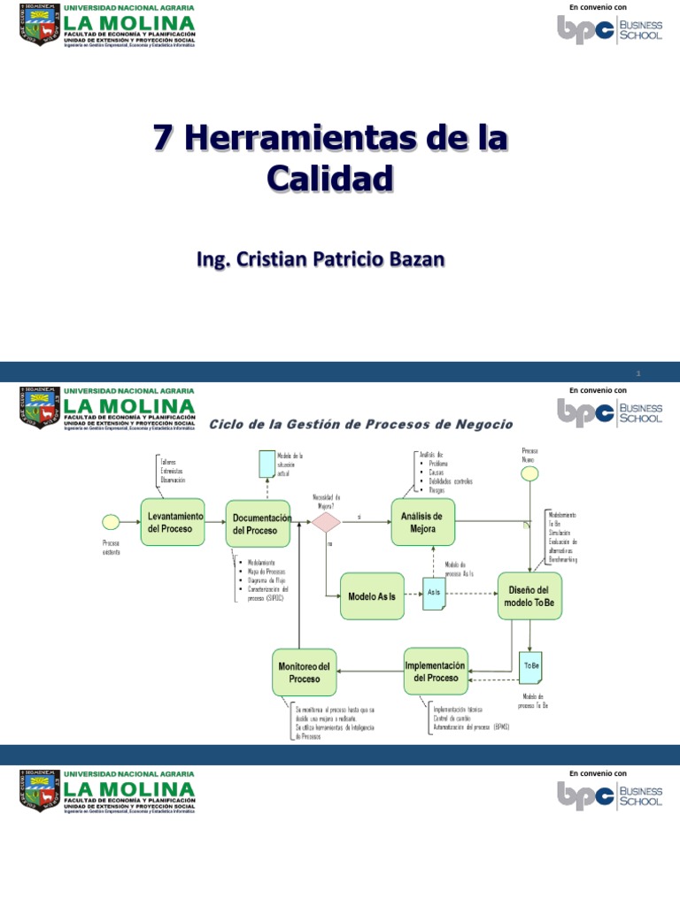 7 Herramientas de La Calidad | PDF
