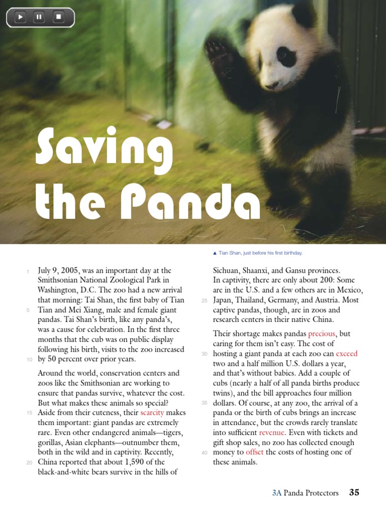 Saving The Panda L3 | PDF | Giant Panda | Environmental Conservation