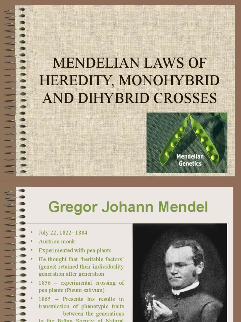 Mendels laws and others | PDF