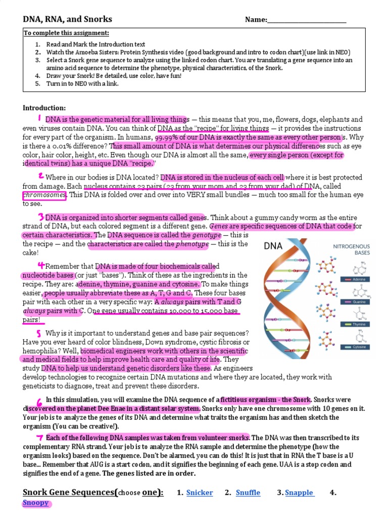 DNA, RNA and Snorks-Remote Ulv | PDF | Dna | Gene