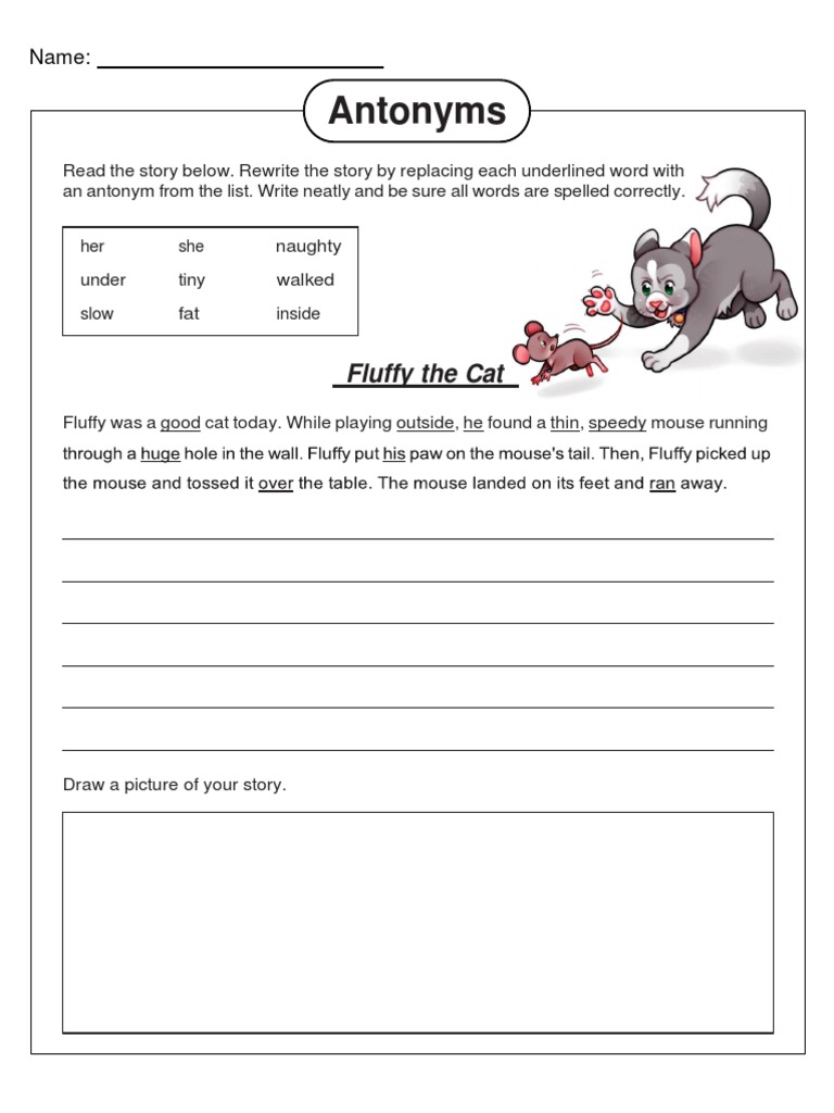 Antonyms Activity for Fluffy the Cat | PDF