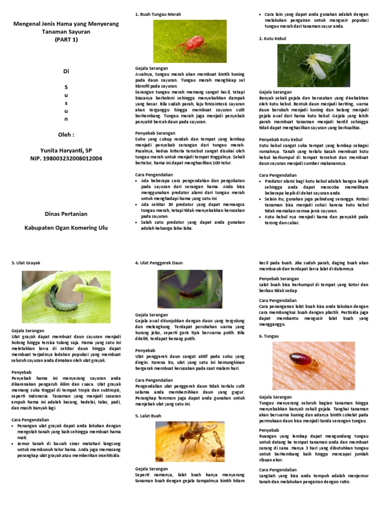 Leaflet Hama Dan Penyakit Tanaman Sayuran | PDF | Sains & Matematika ...