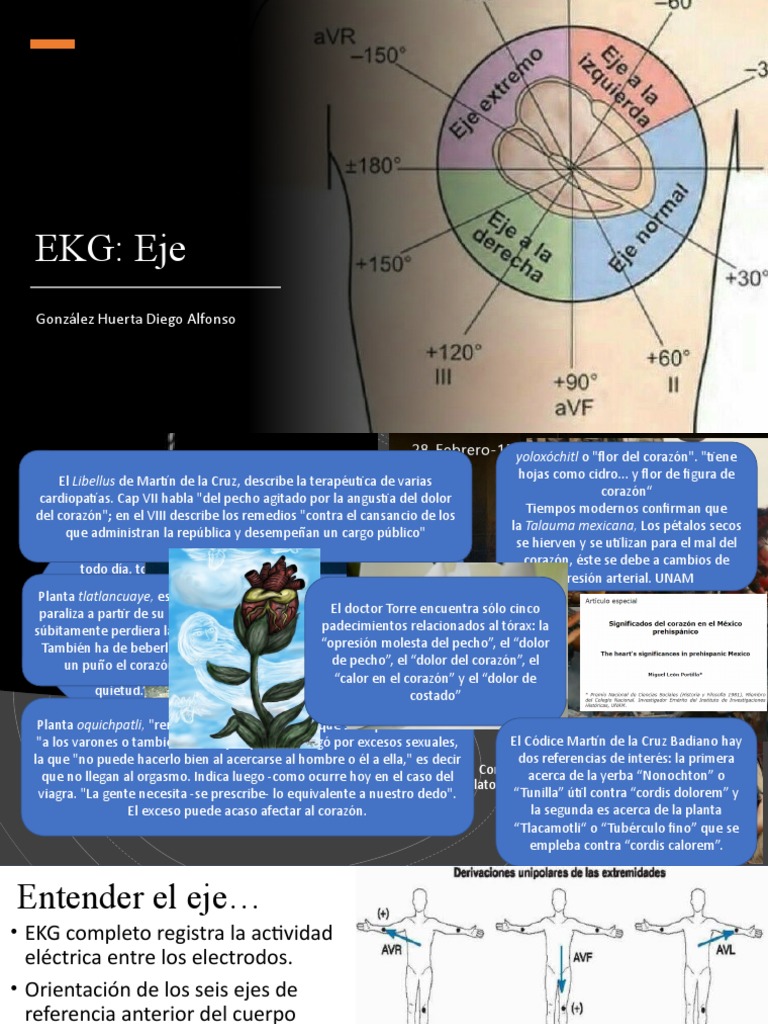 Eje Eléctrico Cardiaco y Su Obtención en Un Electrocardiograma | PDF
