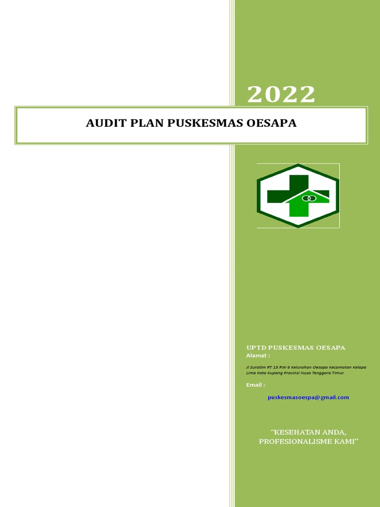 Audit Plan Istrument Ukm Ukp Dan Admin PKM OSP | PDF