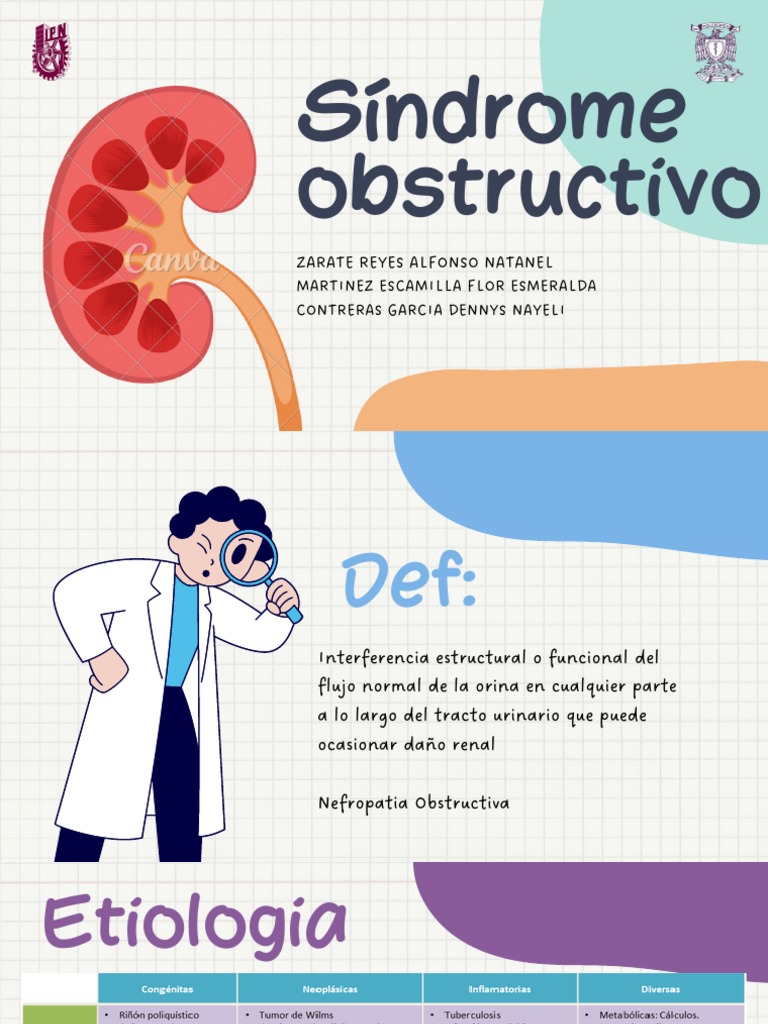 Síndrome Obstructivo | PDF | Riñón | Sistema urinario