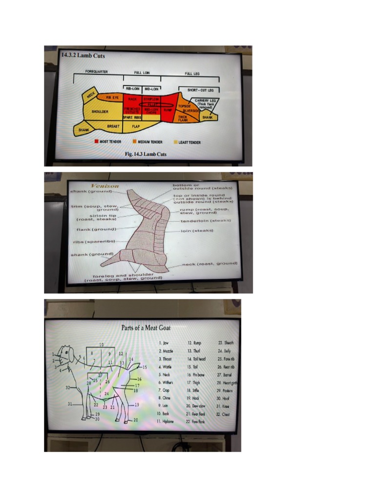 Tle Reviewer | Download Free PDF | Beef | Steak