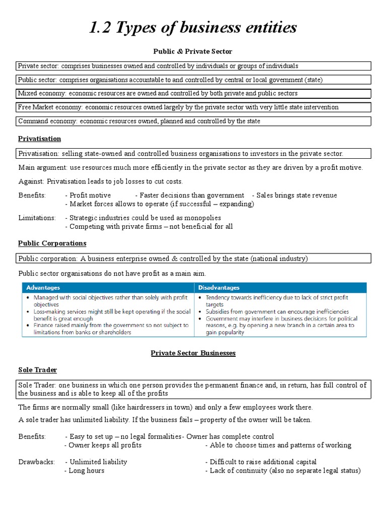 1.2 Types of Business Entities | PDF