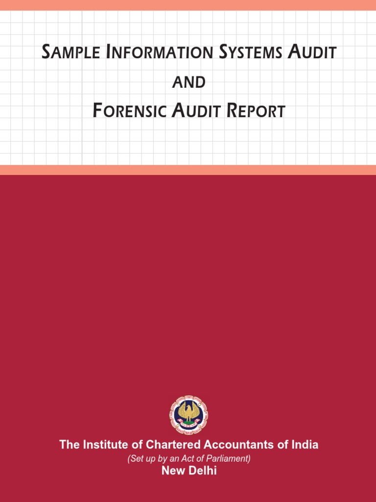 Sample Is Audit 31-8-16 | PDF | Vulnerability (Computing) | Security