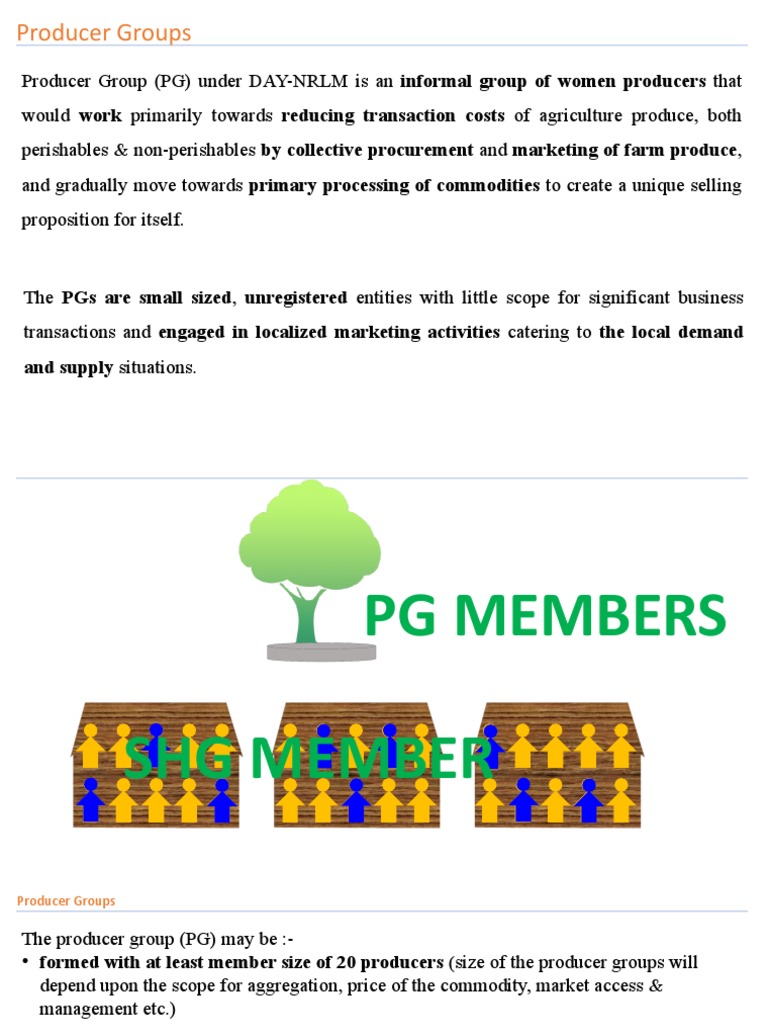 Producer Group | PDF | Market (Economics) | Sales