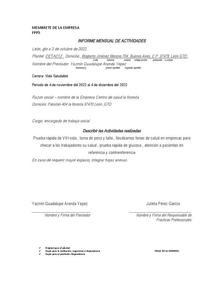 Informe Mensual de Actividades FPP5 | PDF