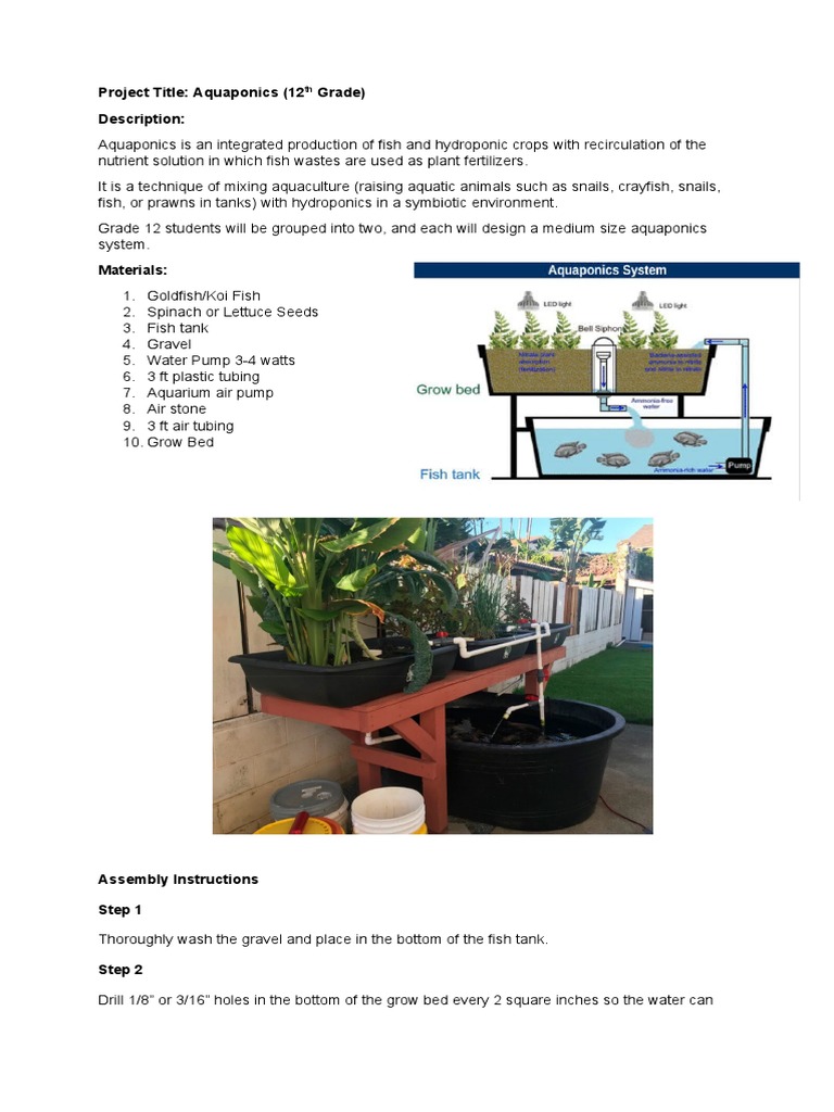 Aquaponics - Grade 12 | PDF | Aquaponics | Agriculture