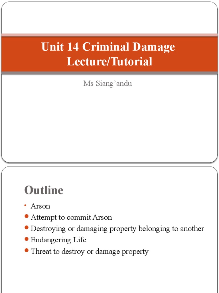 Understanding Criminal Damage Law | PDF | Arson | Crime & Violence