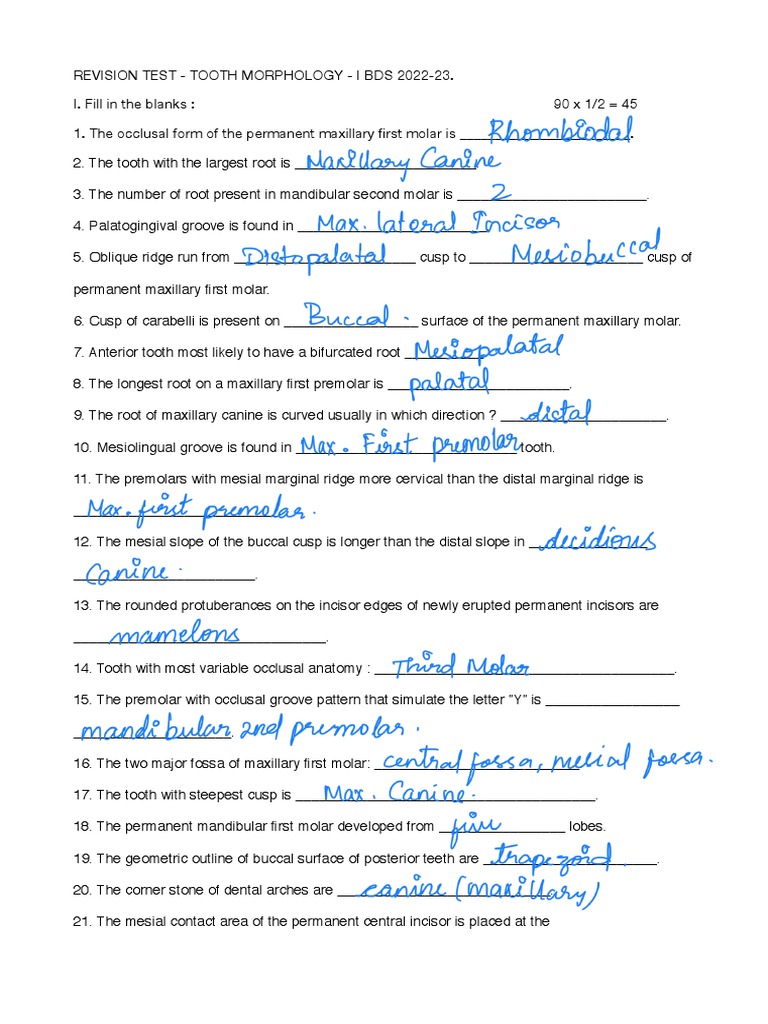Tooth Morphology Revision Test I BDS | PDF | Dental Anatomy | Dentistry ...