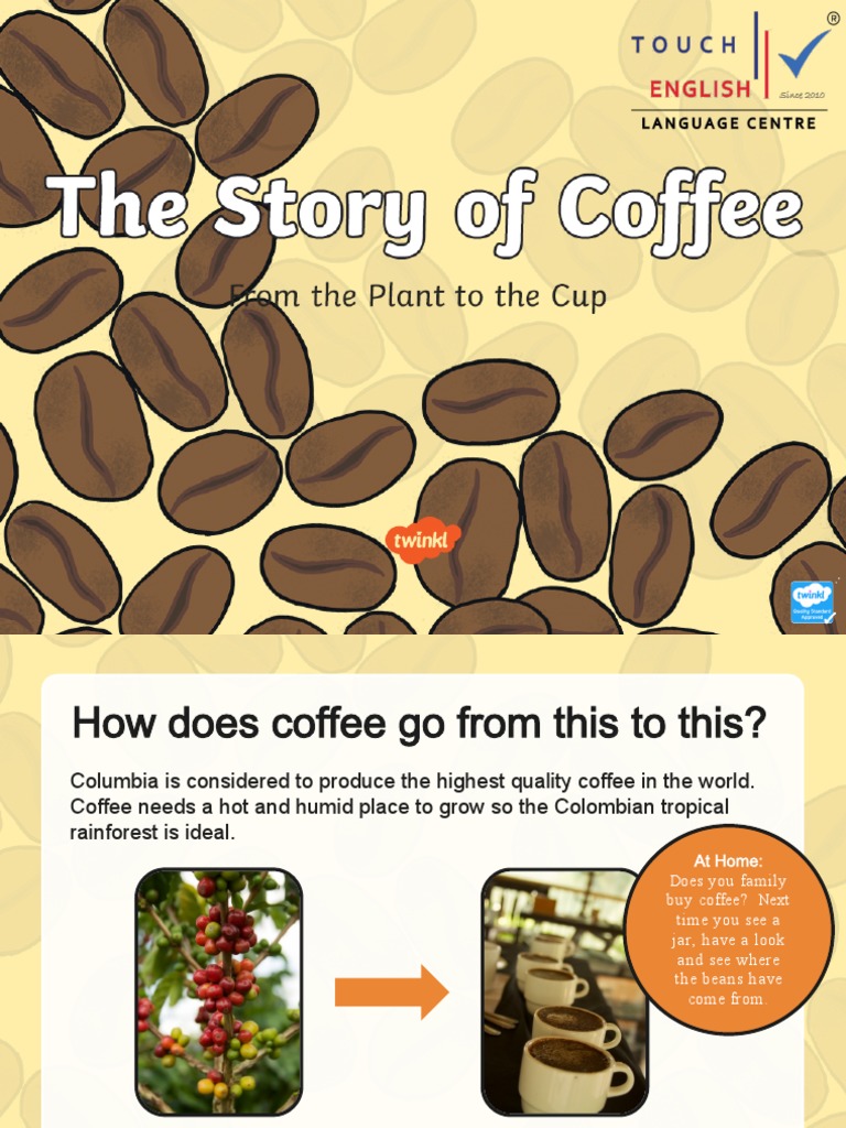 TEC Kids - The Story of Coffee (From Plant To Cup) | PDF | Coffee | Botany