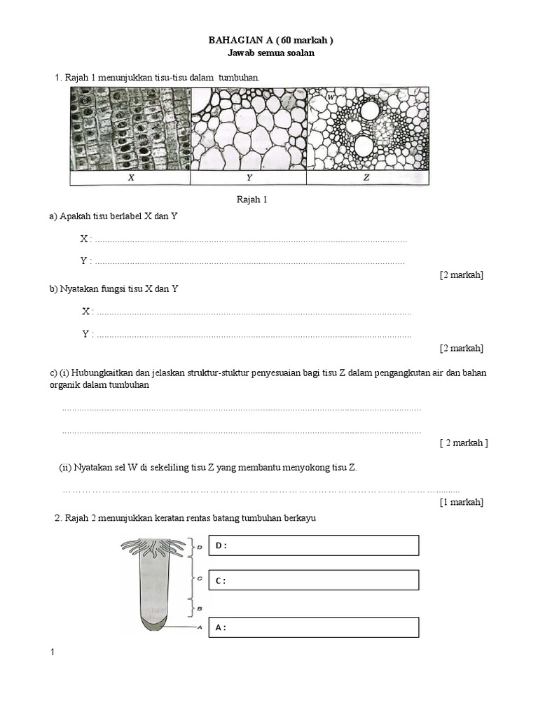 Simulasi 2 Bio K2 T5 2023 | PDF
