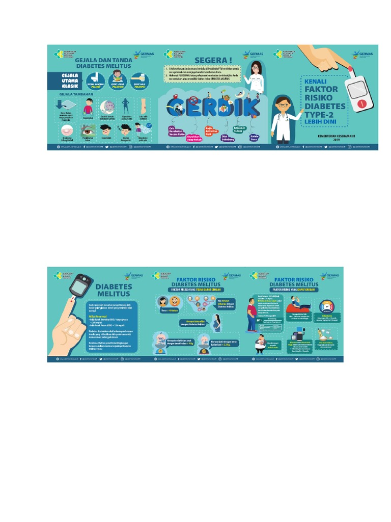 DM Cerdik Leaflet | PDF