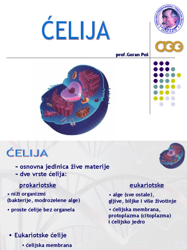 01 Celija | PDF