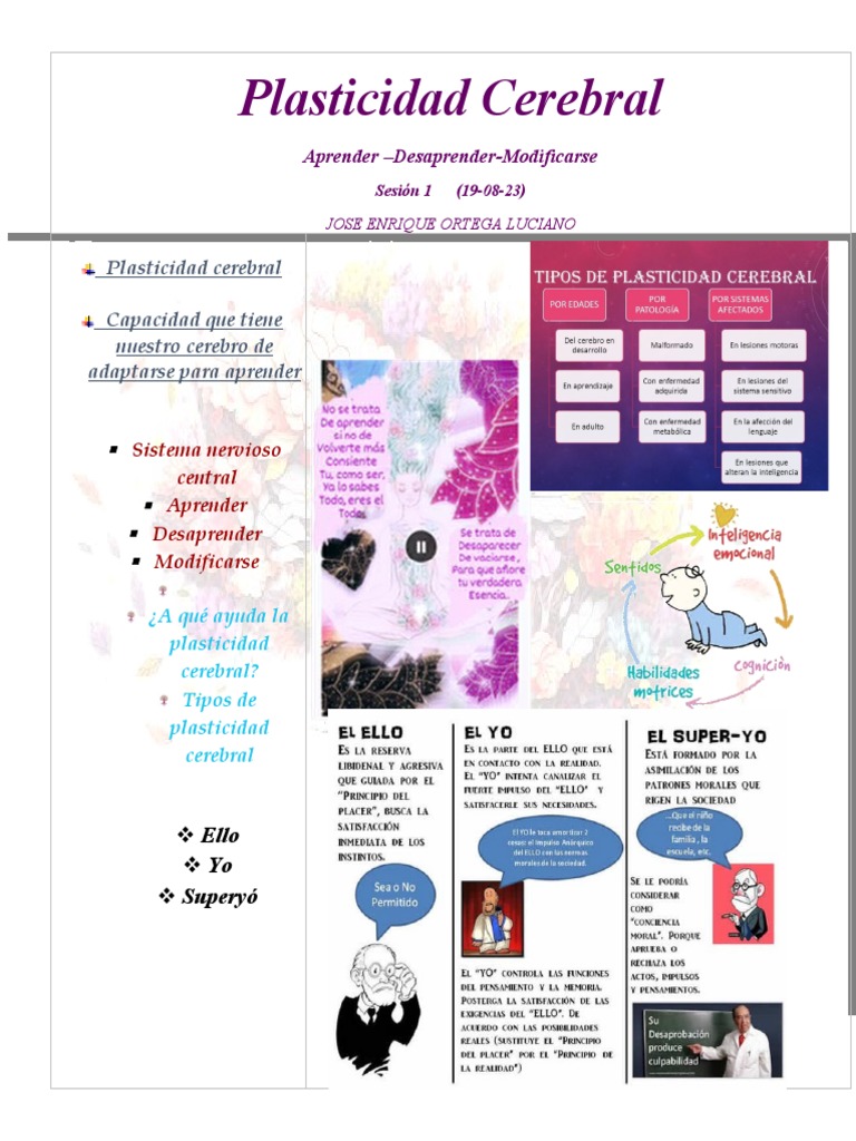 Plasticidad Cerebral | PDF | Carné de identidad | Aprendizaje