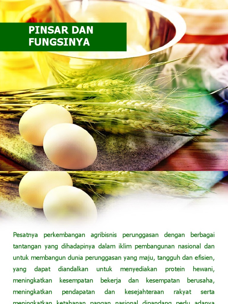 Pinsar Dan Fungsinya | PDF | Teknologi & Rekayasa