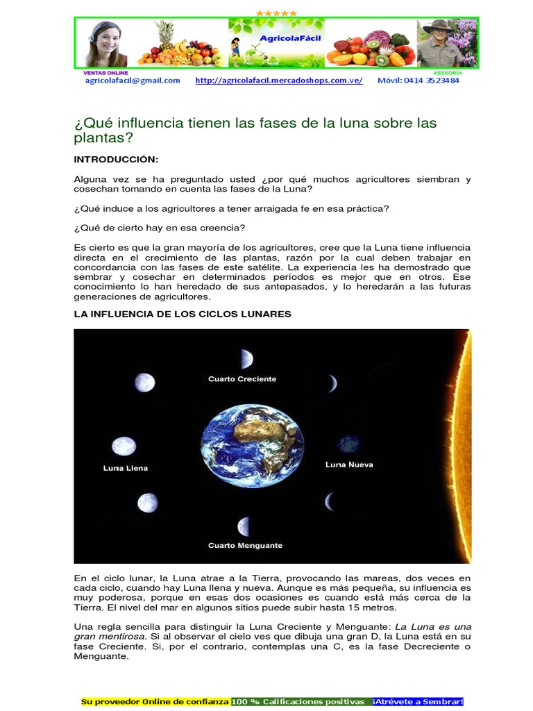 Influencia de Las Fases de La Luna Sobre Las Plantas | PDF | Siembra | Luna