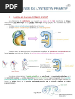 Anatomie Topographique de La Cavité Abdominale Et Péritonéale | PDF ...