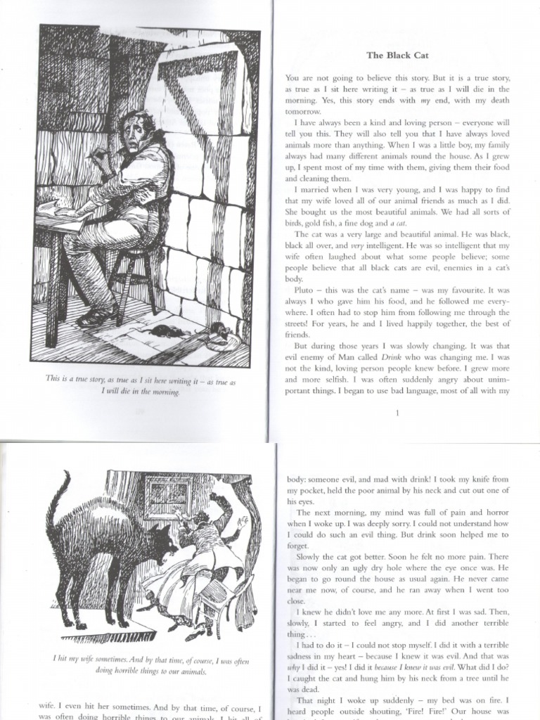 Level 8 - The Black Cat and Other Stories | PDF