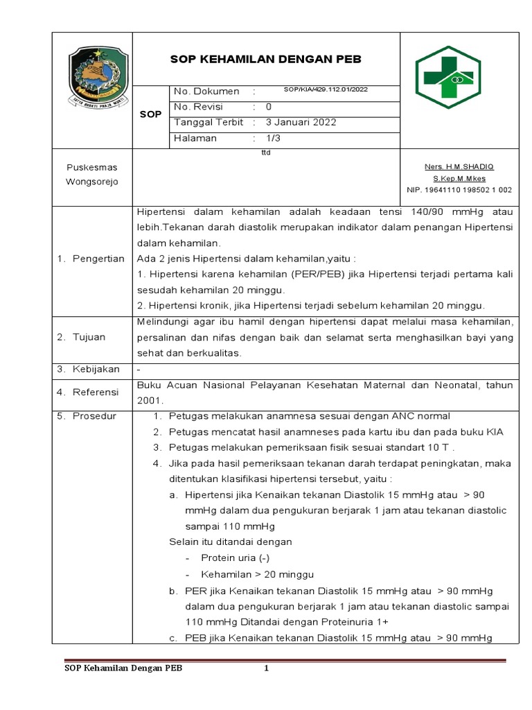 Sop Kehamilan Dengan Peb Ni Nyoman | PDF