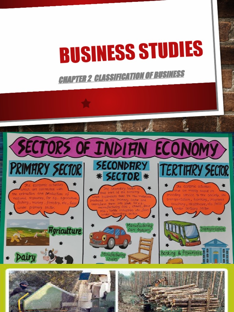 Business Studies Chapter 2 | PDF | Secondary Sector Of The Economy ...