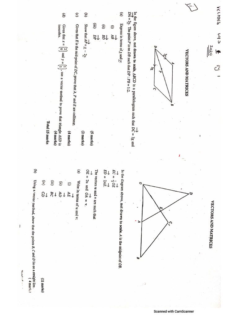 CXC Vectors Worksheet 2 | PDF