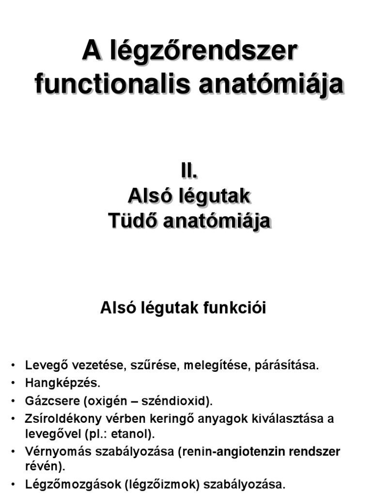 Anatómia Ea12 Pdf