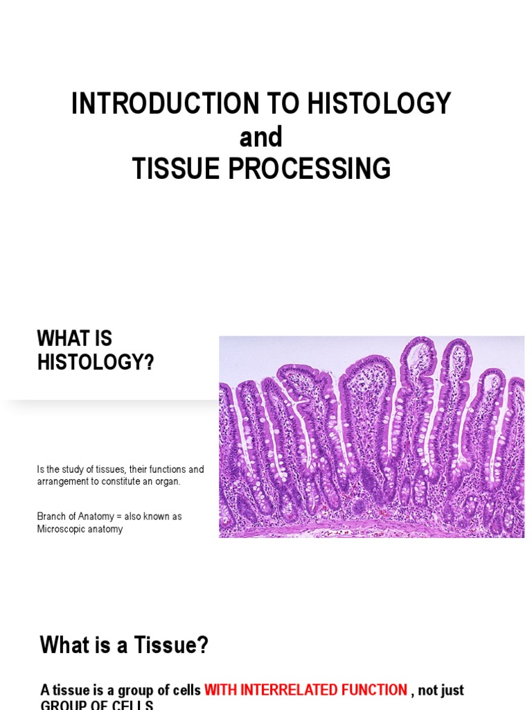 Histology | PDF | Tissue (Biology) | Histology