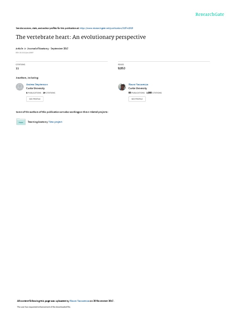 The Vertebrate Heart An Evolutionary Perspective | PDF | Heart | Heart ...