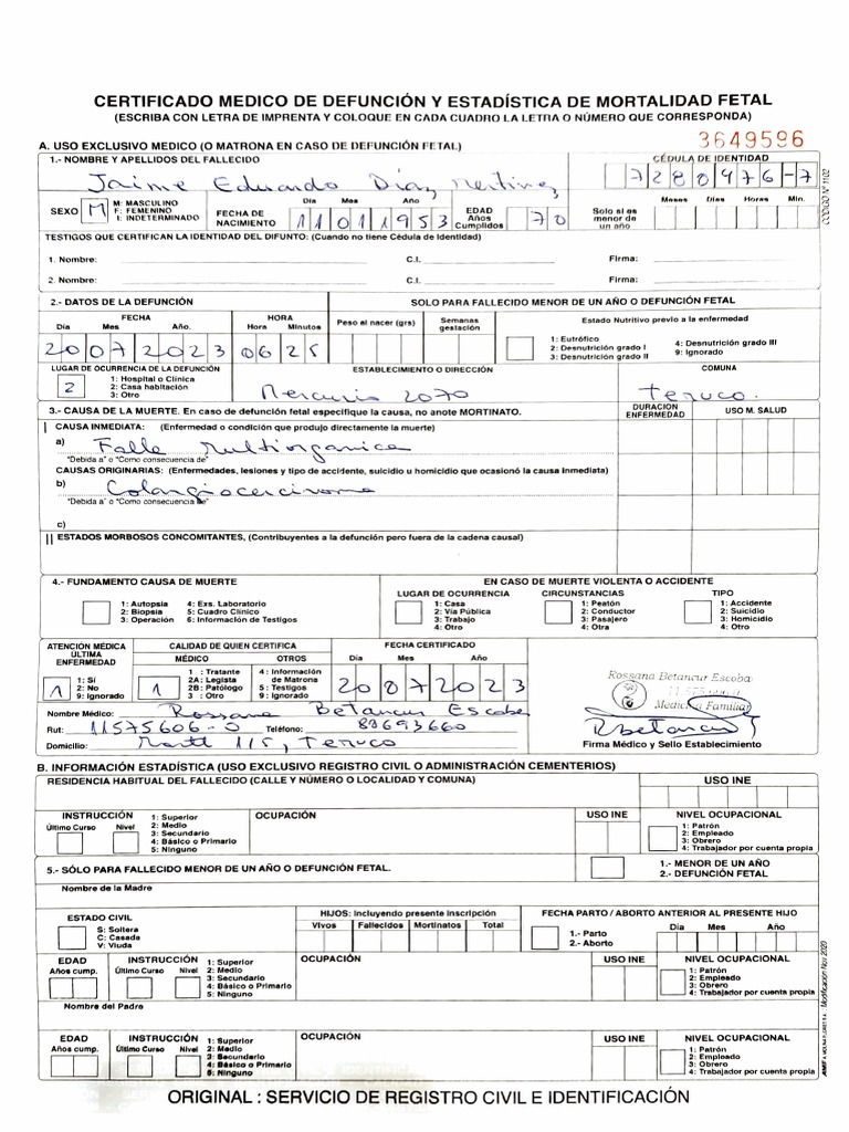 Certificado de Defunción Fetal | PDF | Muerte | Salud pública