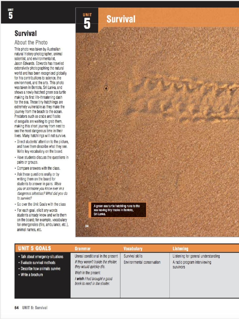 World English 3 Teachers Unit 5 | PDF