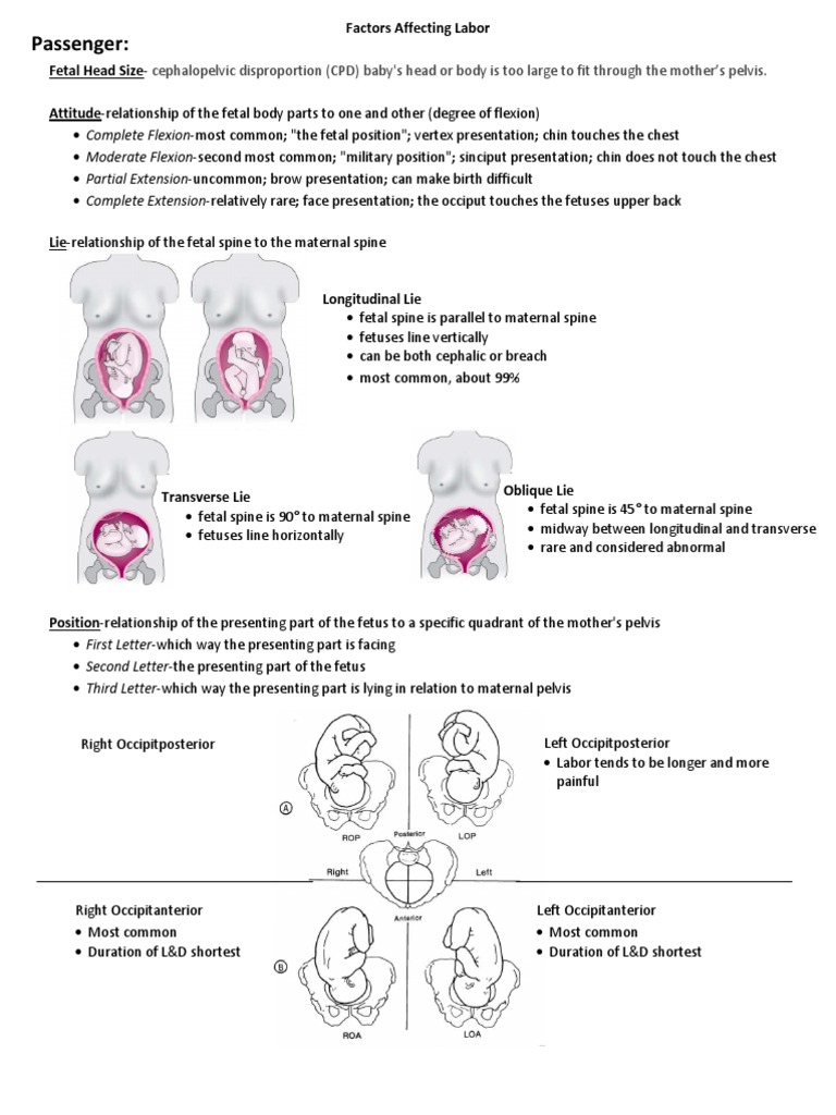 Fetal Lie and Presentation Factors | PDF | Pelvis | Fetus