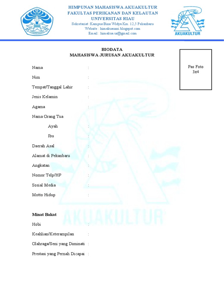 Biodata Diri BDP 2023 | PDF