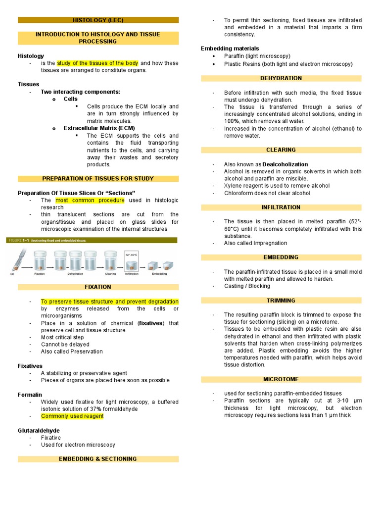 Tissue Processing in Histology | PDF | Histology | Staining