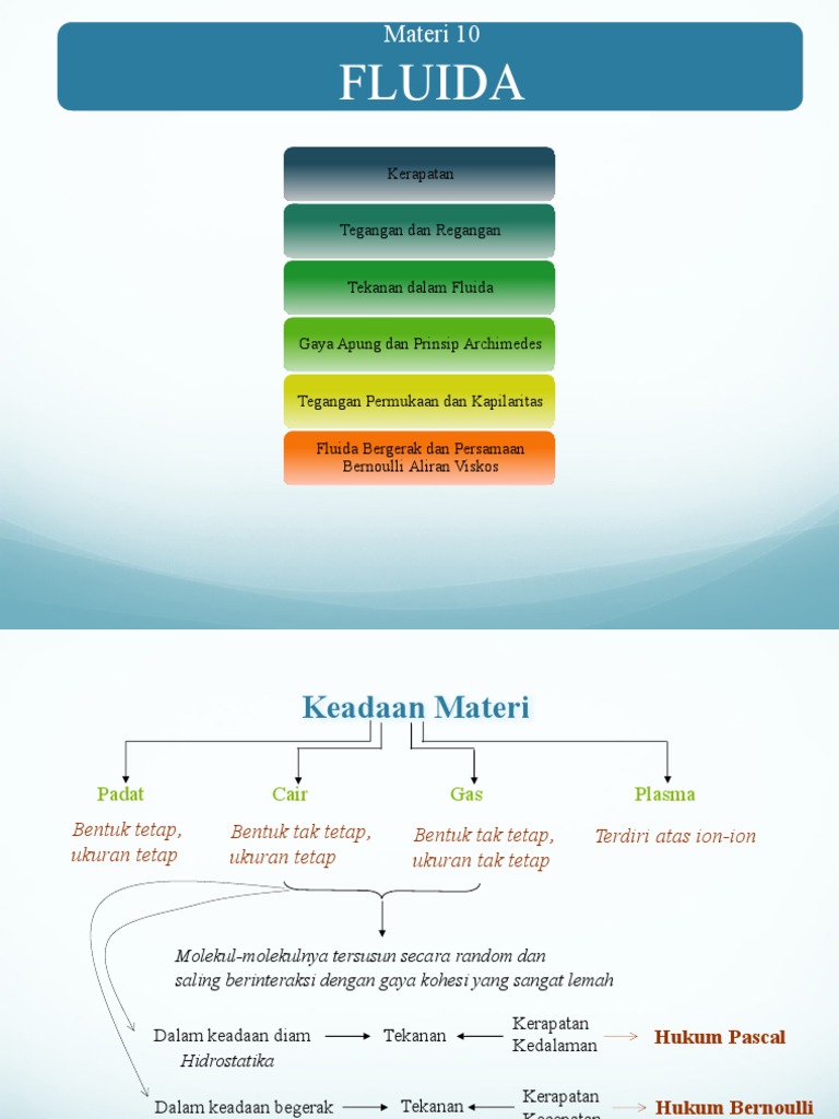 10 Fluida | PDF