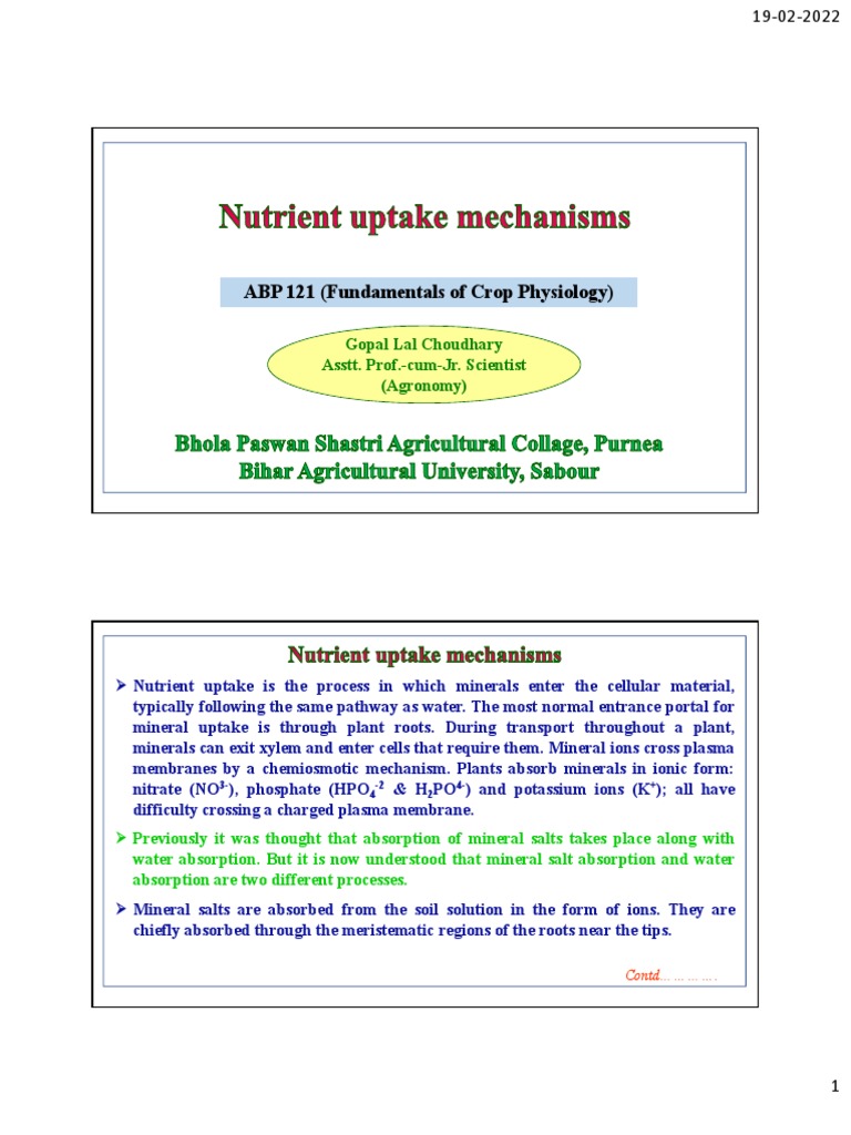 Nutrient Uptake Mechanism. | PDF | Soil | Plant Nutrition