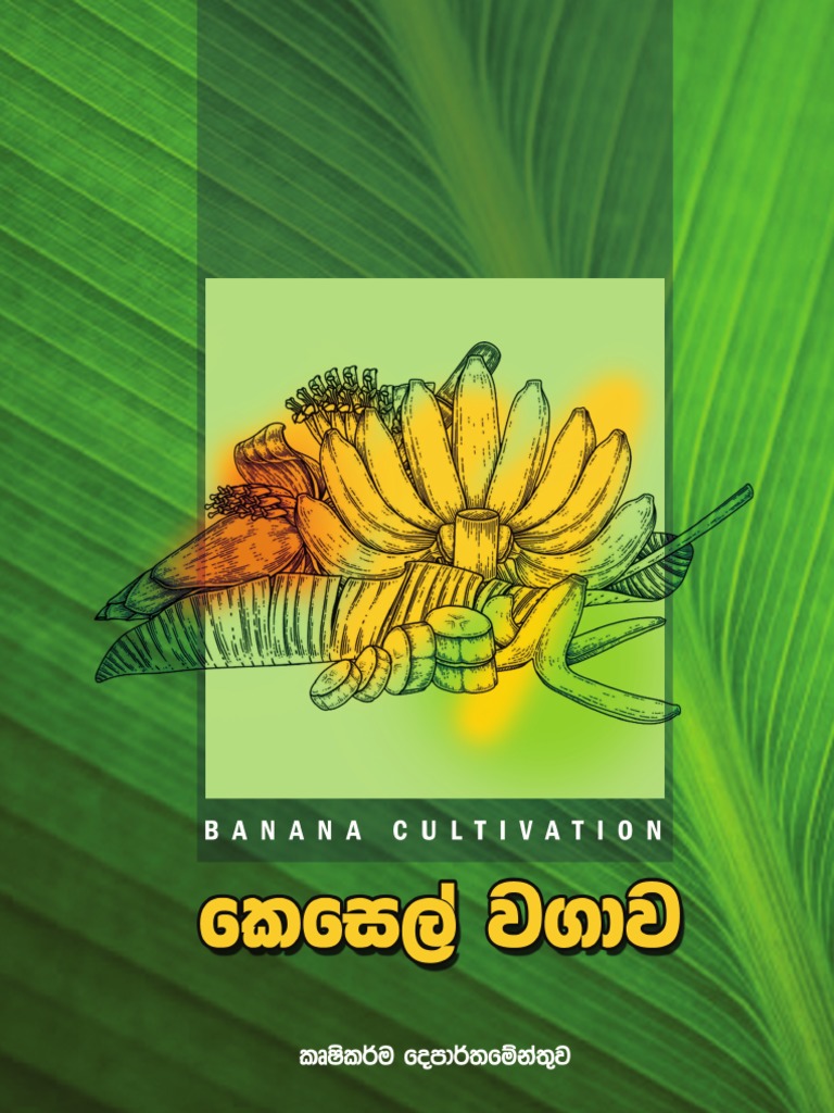 Banana Varieties in Sri Lanka Guide | PDF