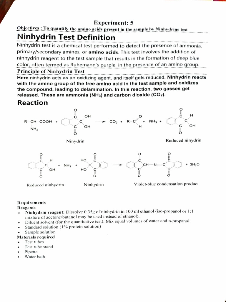 Ninhydrin Test | PDF | Chemistry | Physical Sciences