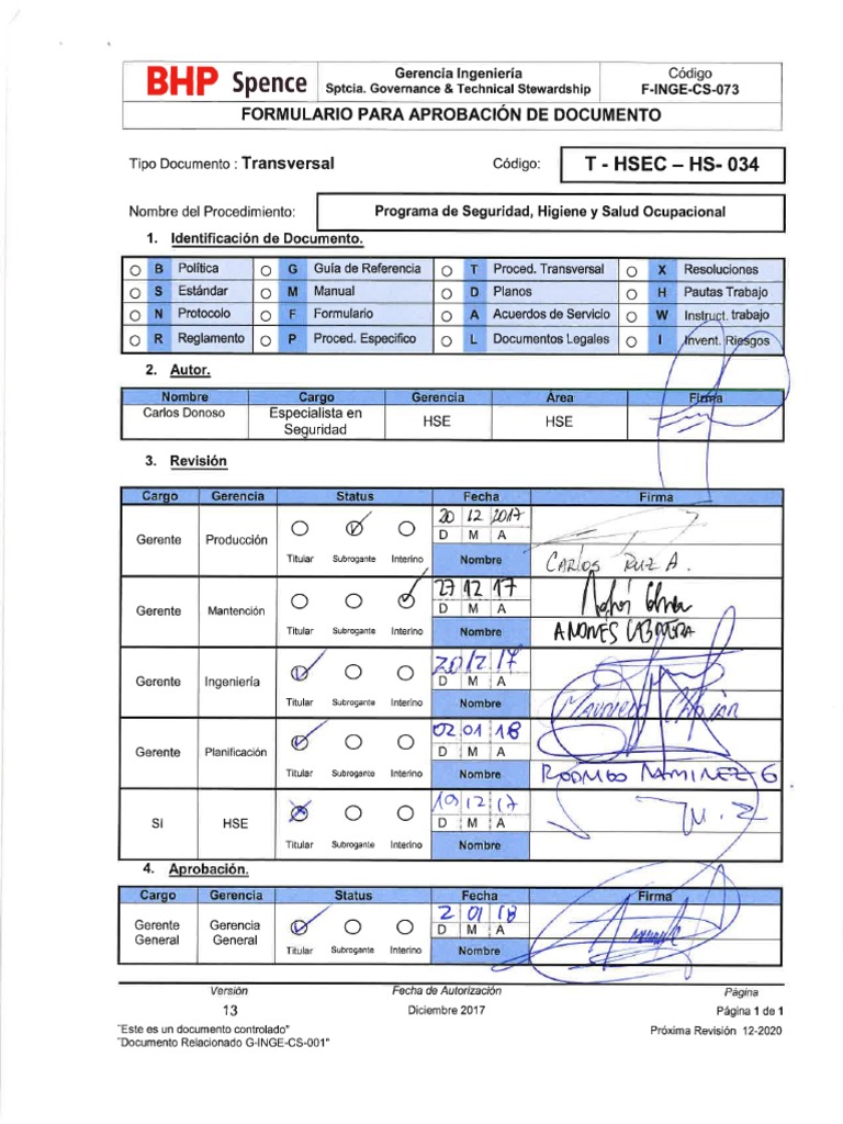 T-Hsec-Hs-034 Programa Hse y Flex | PDF