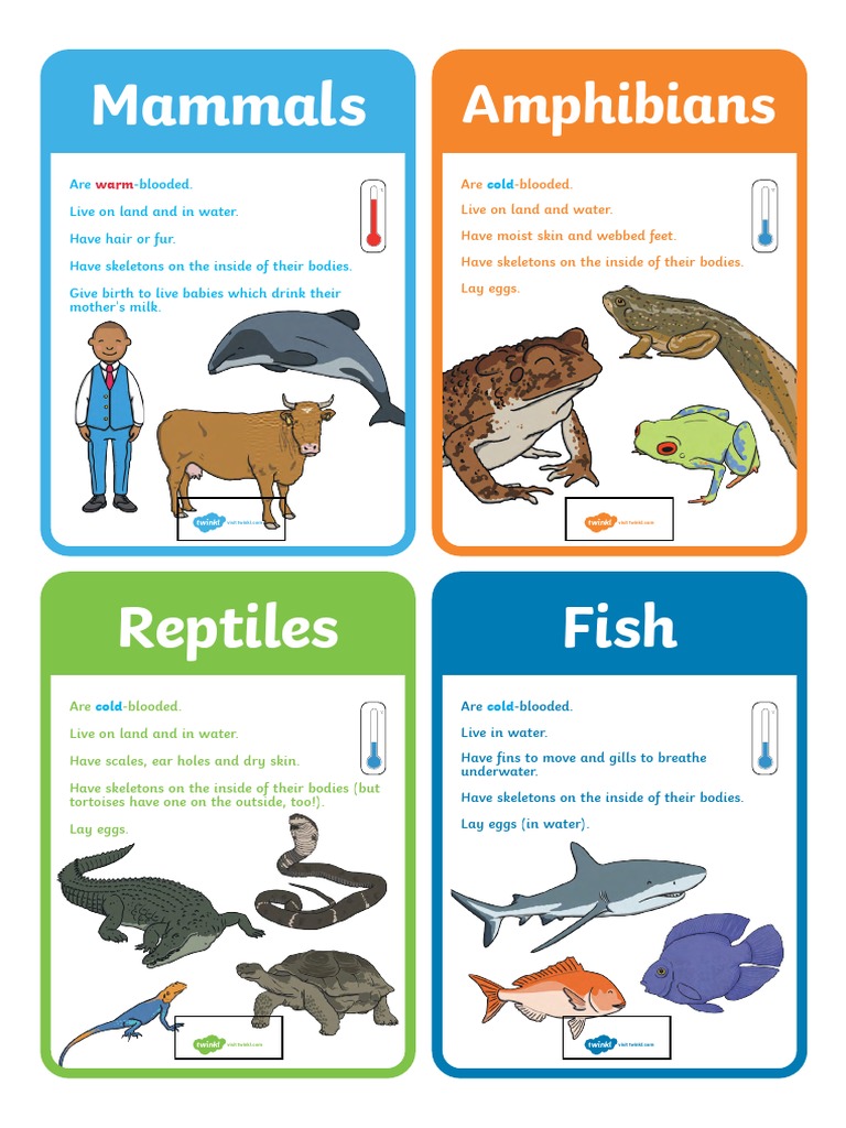 T TP 2679677 Animal Groups Classification Cards - Ver - 1 | PDF | Egg ...