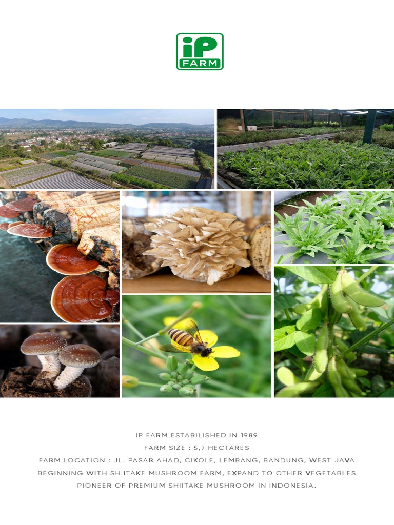 Ip Farm - Pricelist - 23 Nov | PDF