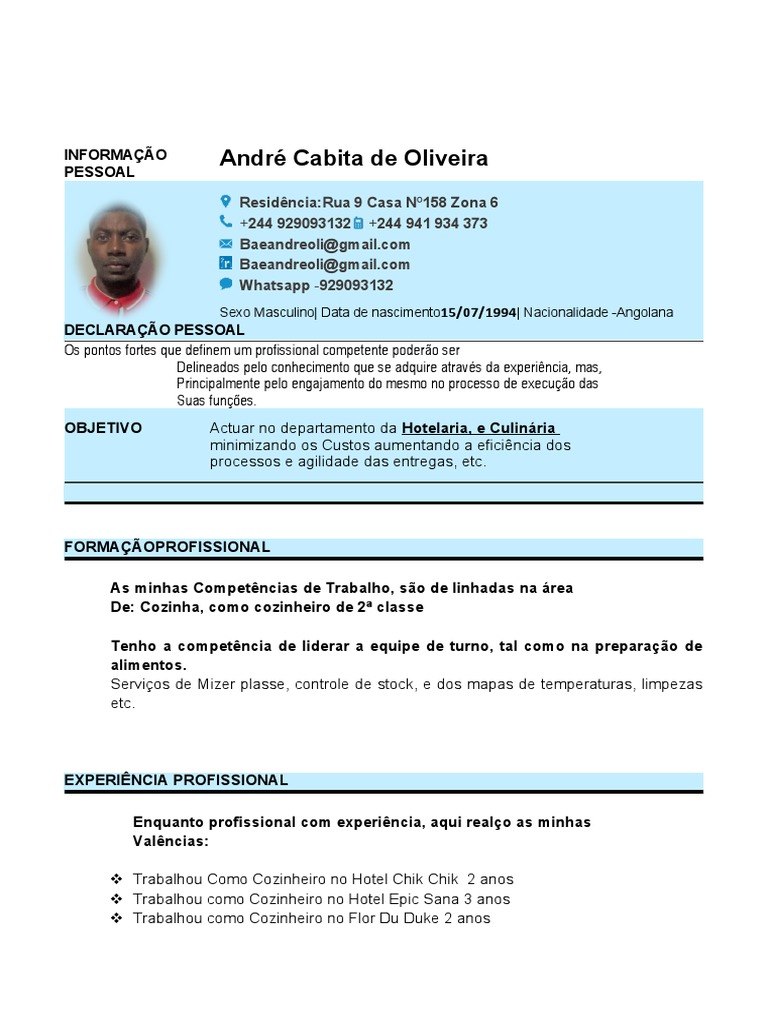 CV Andre | PDF