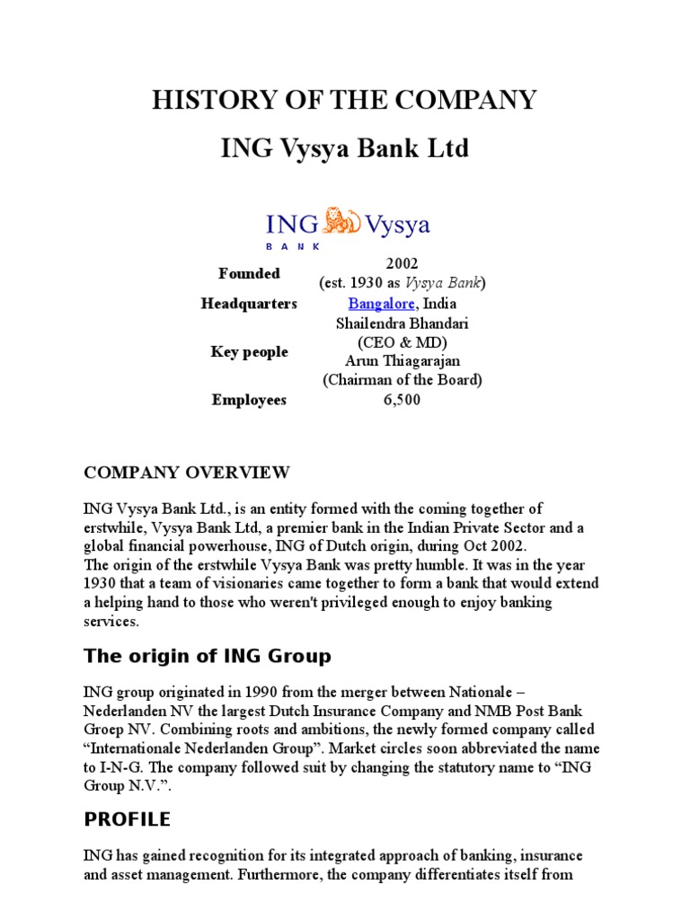 Ing Bank Overview | PDF | Financial Services Companies | Institutional ...