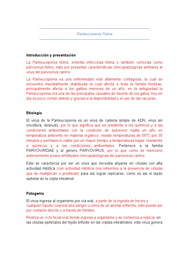 Panleucopenia Felina | PDF | Virus | Gatos